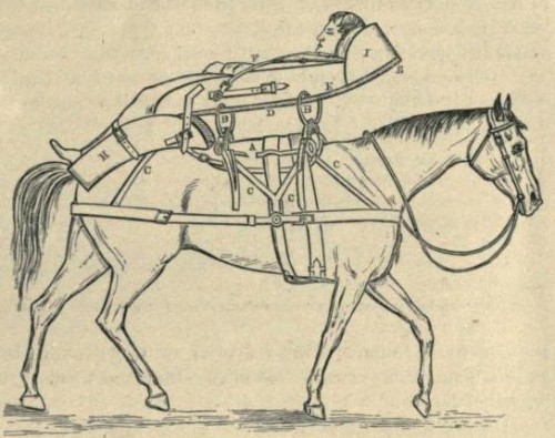 A Manual for the Transport of Sick and Wounded by Pack Animals
